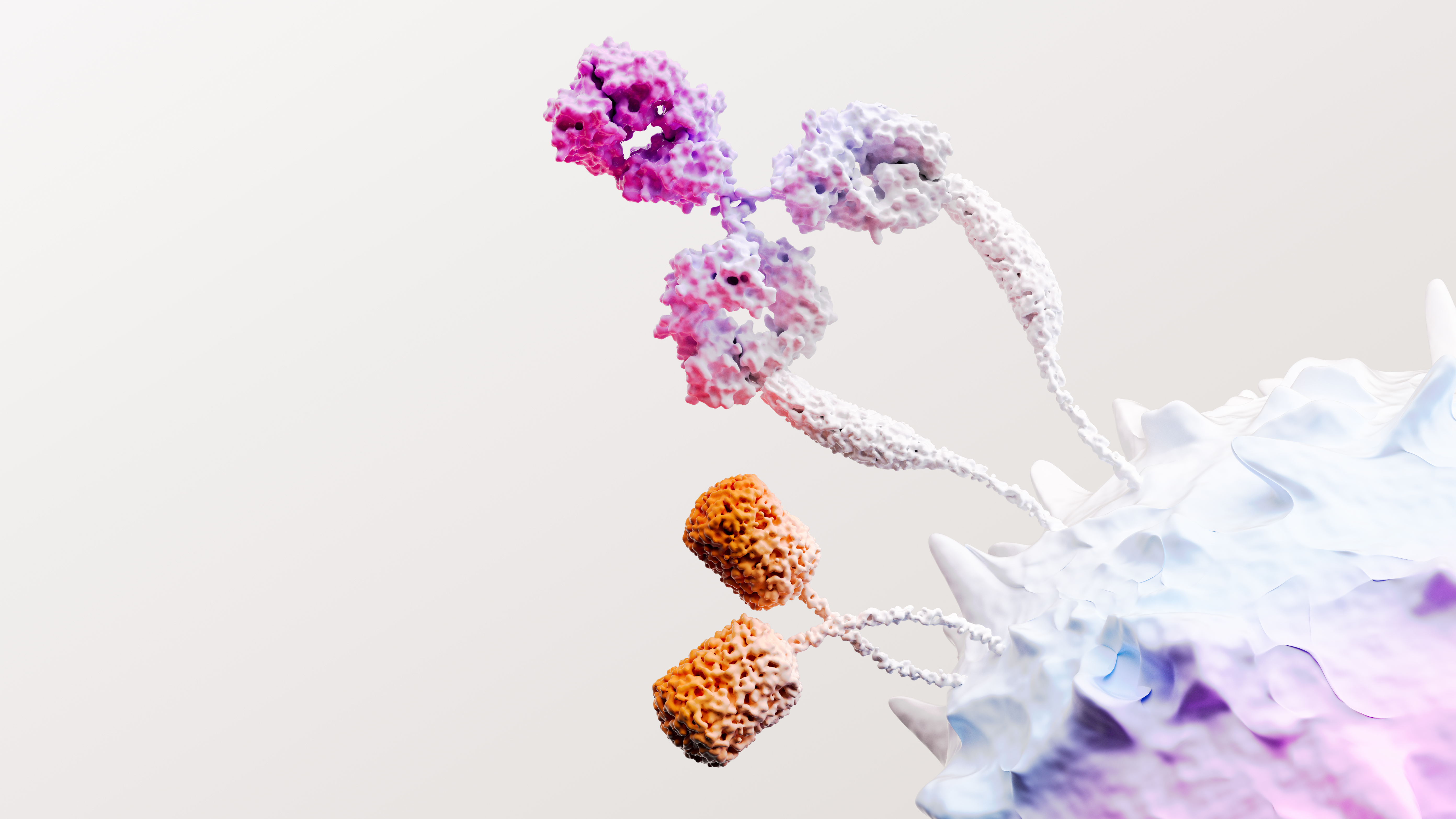 Company | GSK Belgium